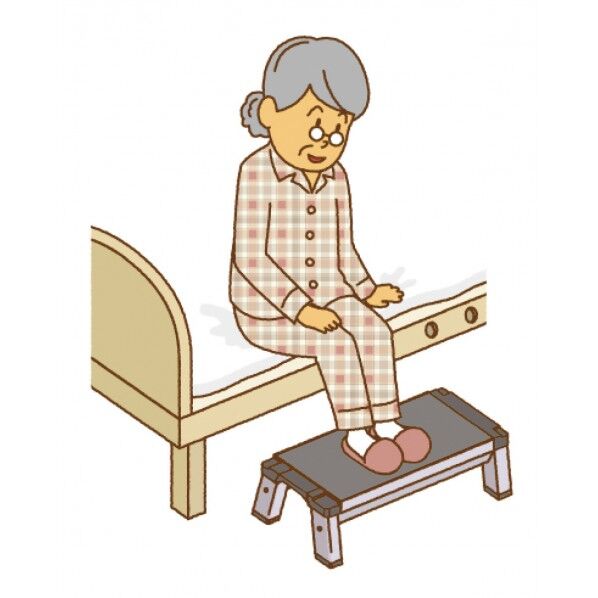 ハセガワ 昇降補助踏台イッポSPS型33cm幅 420 x 370 x 190 mm SPS2.0-173 1点 (長谷川工業)｜トラノテ