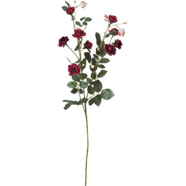 ポピー ベルベットローズスプレー BUR FA -6815 1本 (ポピー)｜トラノテ